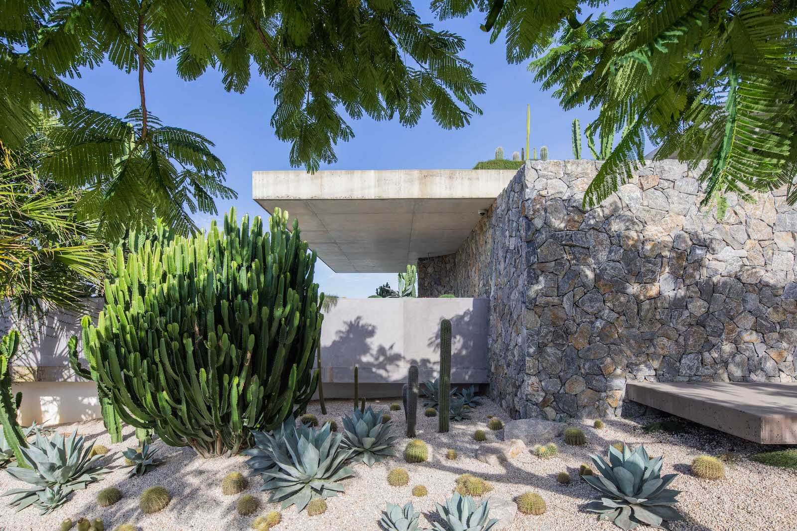 Cactus House | Brooke's Blooms